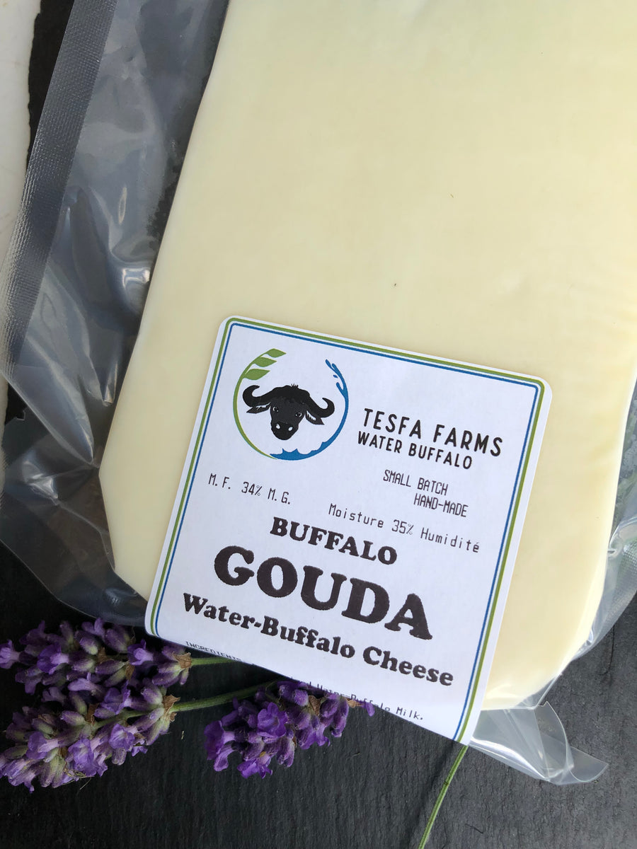 Gouda Cheese – Tesfa Farms