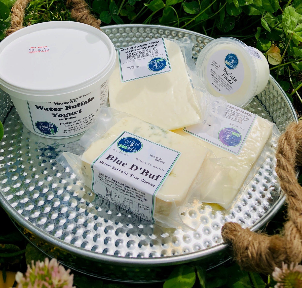 Cheddar Cheese – Tesfa Farms