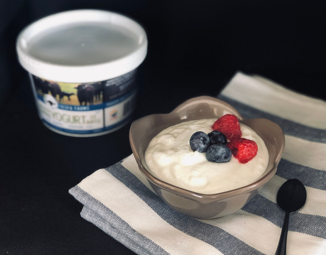 Milk & Yogurt – Tesfa Farms